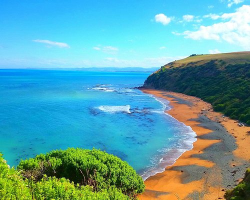 The Top Oamaru Sports and Outdoor Activities for Kids