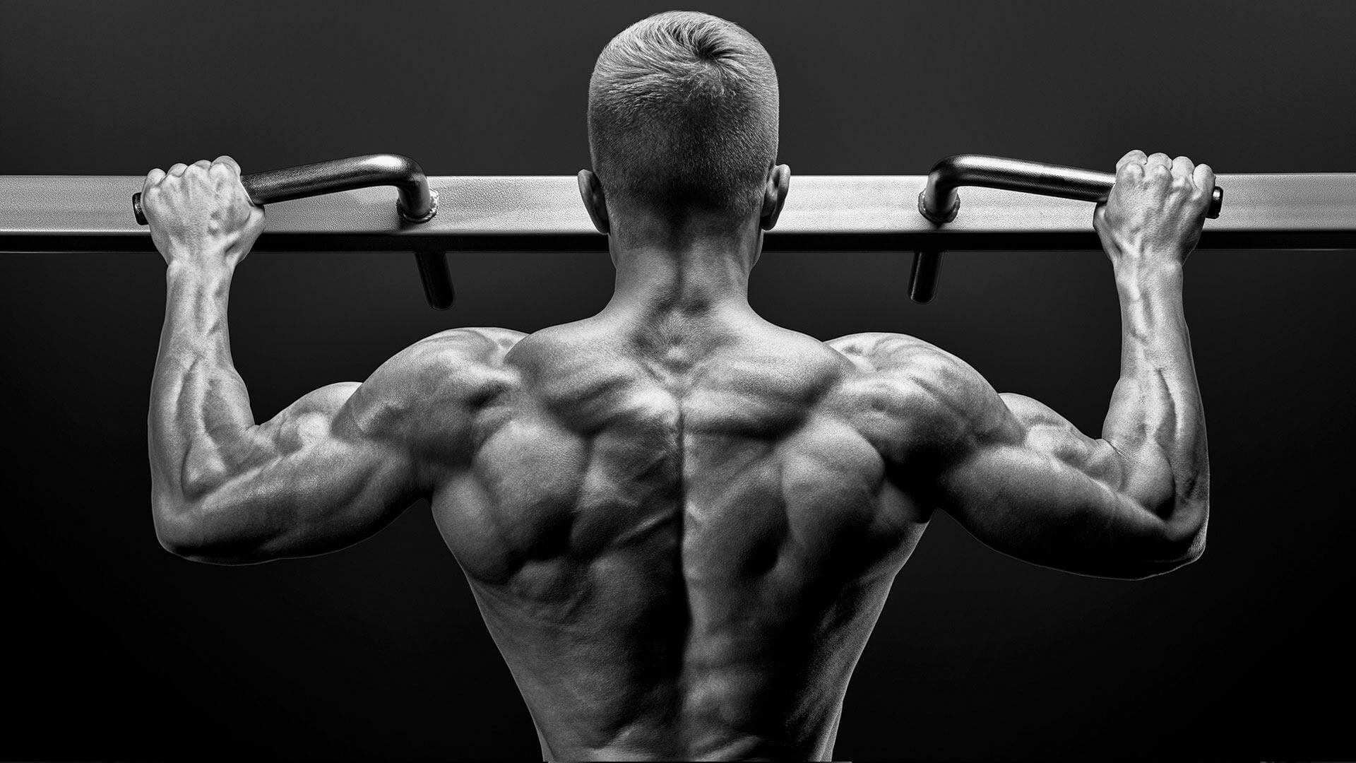 How Much Protein Do You Need To Build Muscle Fit Netion