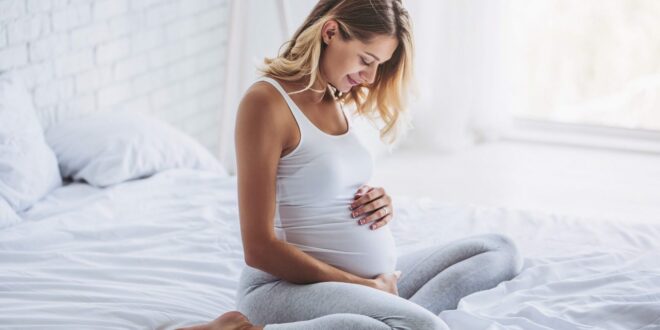 Discover The Secrets Of The Belly Guide - Fit Netion