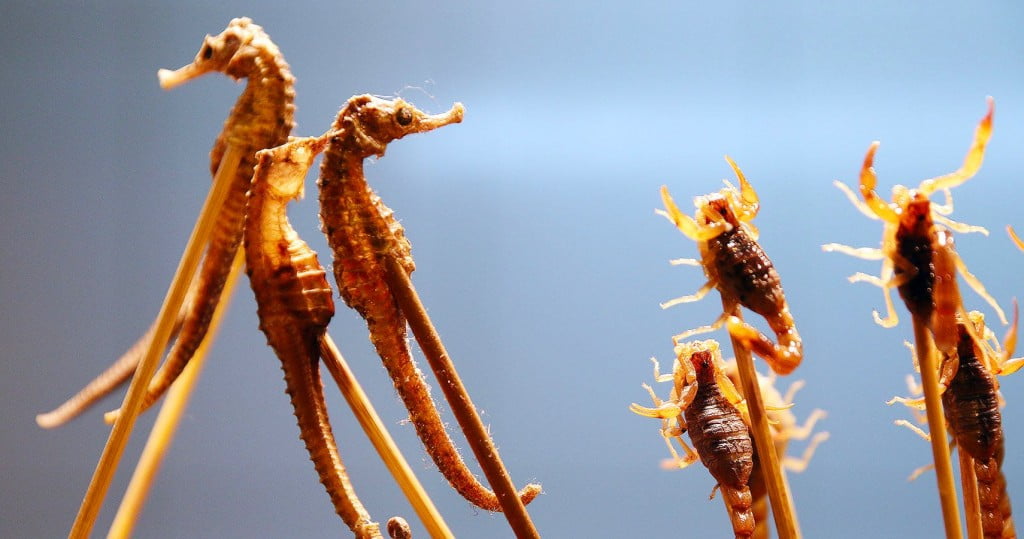 10 Of The Weirdest Street Foods Around The World That Actually Exist ...