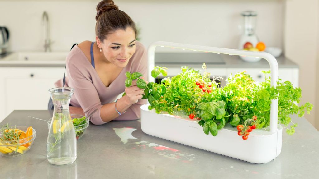 How to Grow Your Own Food Without a Yard or Land - Mansion Flip