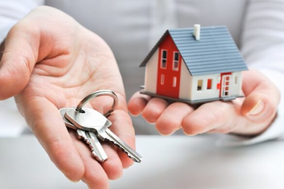 Dinar Chronicles - What is Dinar Chronicles? 2023