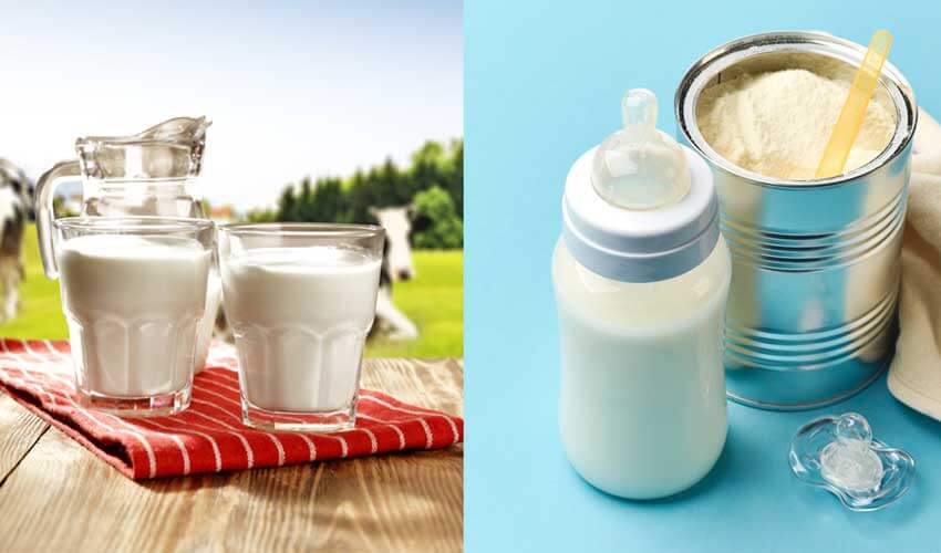 Cow’s Milk Formula Explained - My True Care