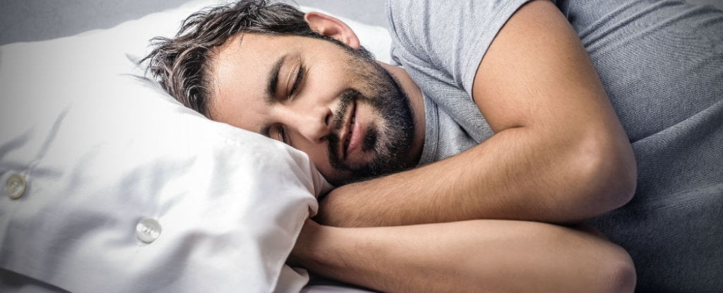 Can Humans Learn to Hibernate During Winter? - Robot Tip