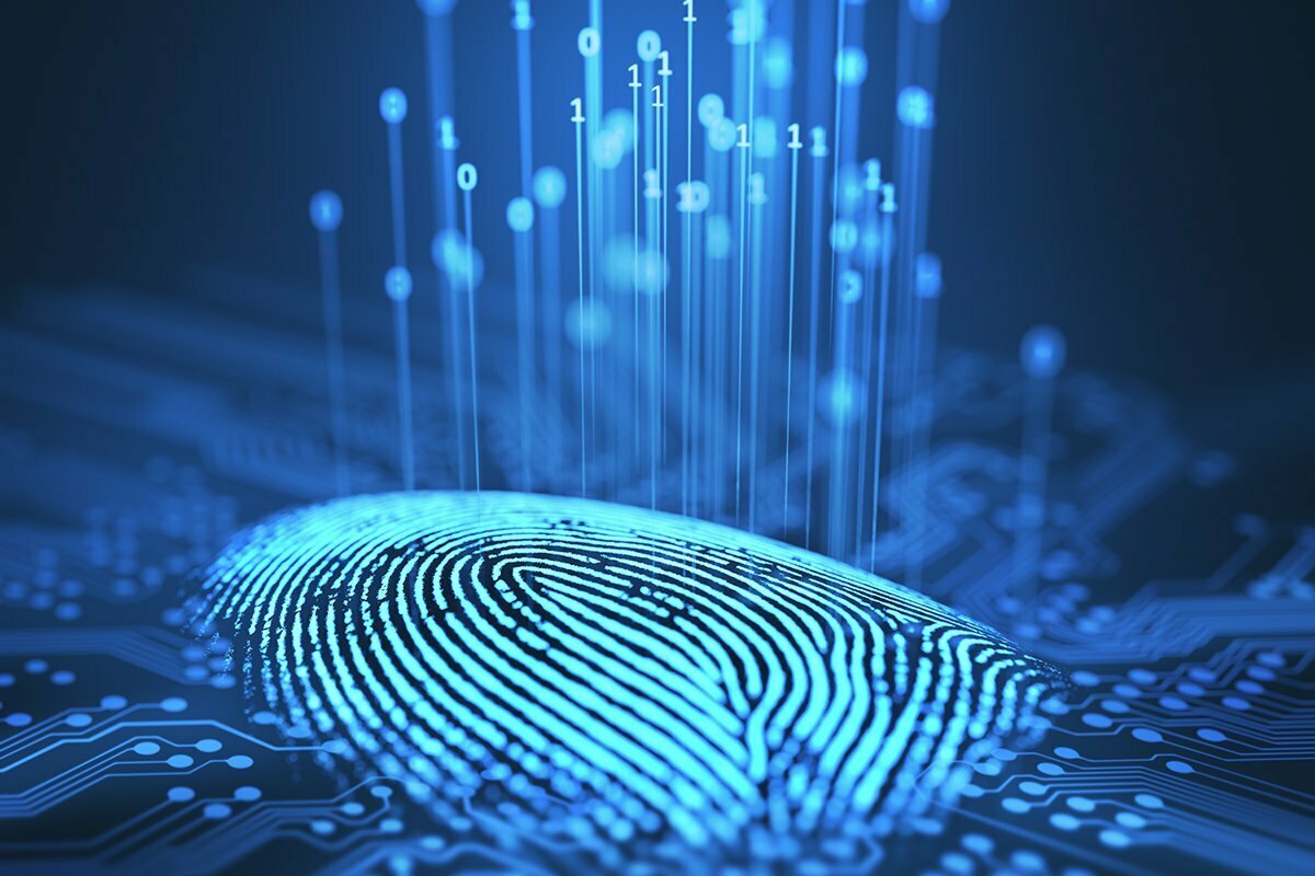 What Is Forensic Data Robot Tip what-is-forensic-data-robot-tip