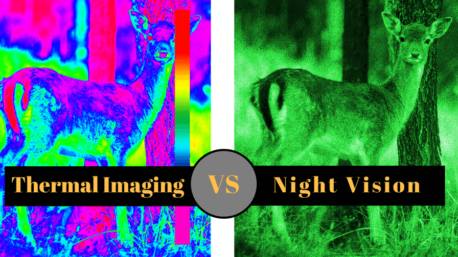 Everything you should know about Thermal vs Night Vision Technology ...