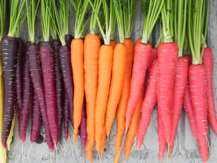The Power of Black Carrot: A Nutritious and Vibrant Superfood - The ...
