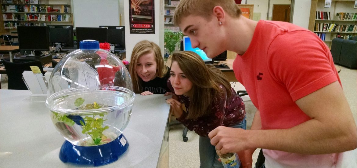 C2 Education Presented With Prestigious 2016 National Tutoring ...