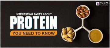 Interesting Facts about Protein You Need To Know