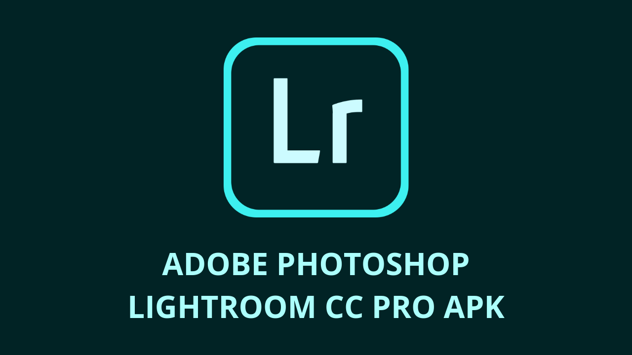 A Look at the Adobe Lightroom Apk Download Links