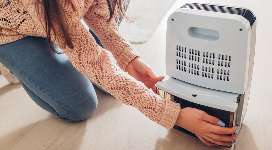 What Are Different Types of Dehumidifiers and How Do They Work