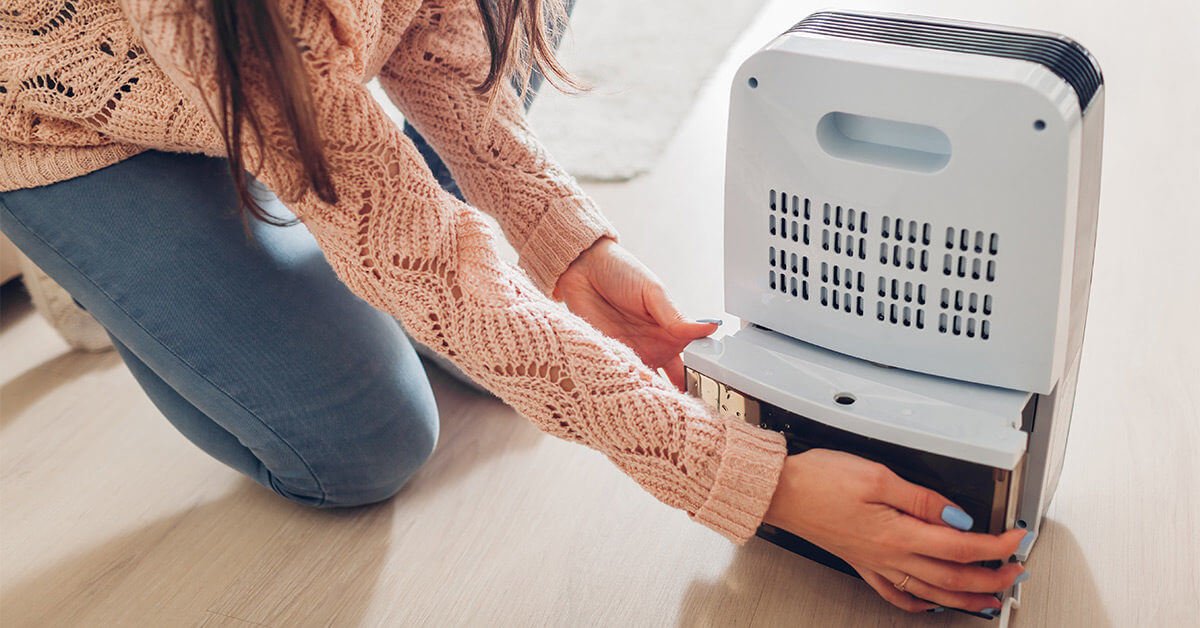 What Are Different Types of Dehumidifiers and How Do They Work