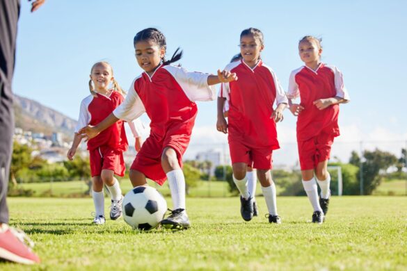 Sahara Park Willowmoore Cricket Stadium: A Cricket Fan's Paradise ...